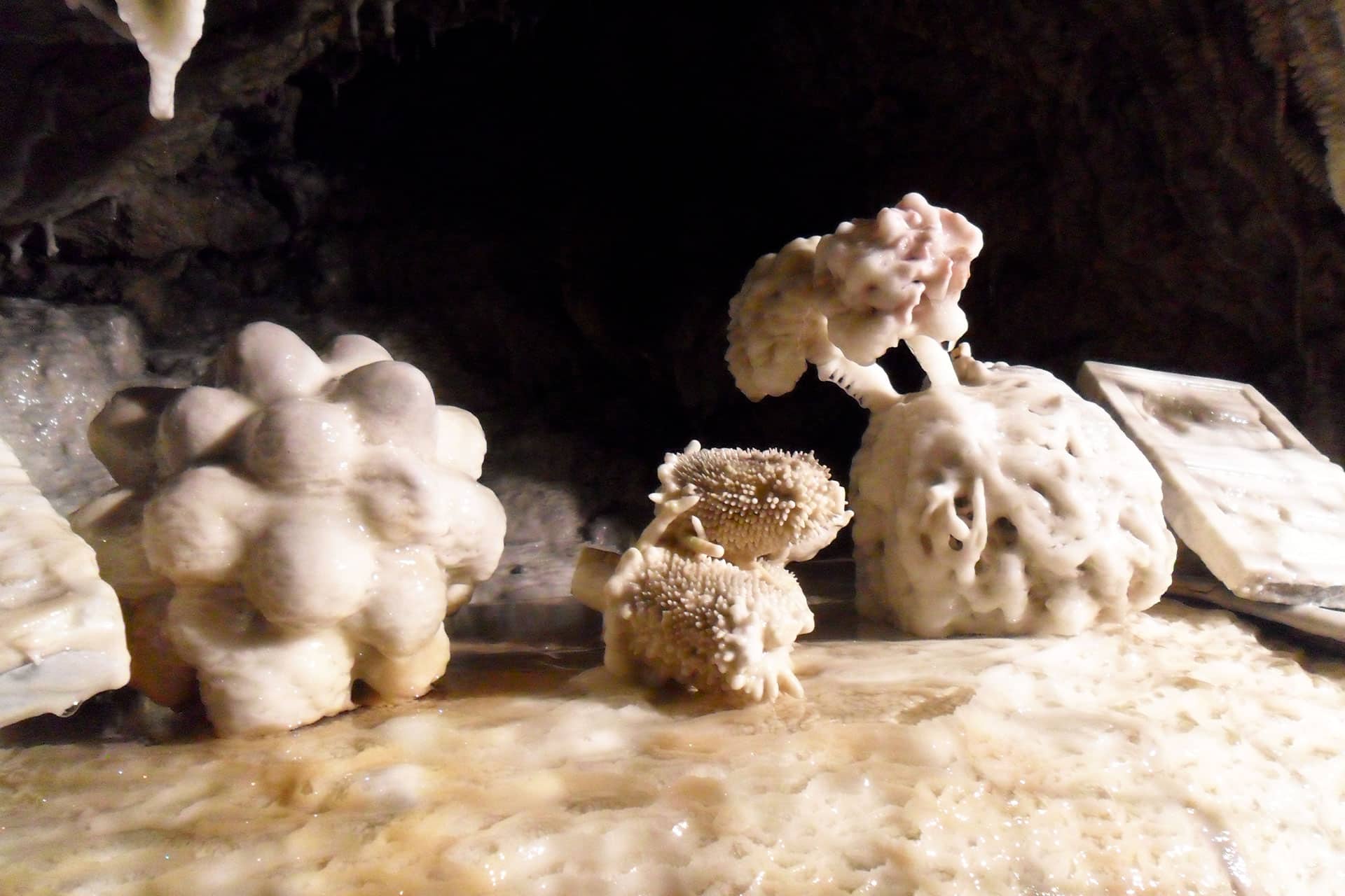 Petrifying Caves | Château de Rochecotte