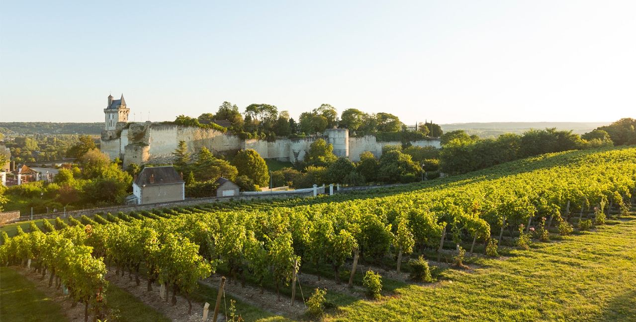 Château près du Vignoble de Chinon | Vignoble de Loire